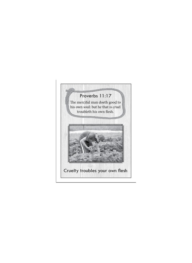 Level 5- Growing in Wisdom Curriculum