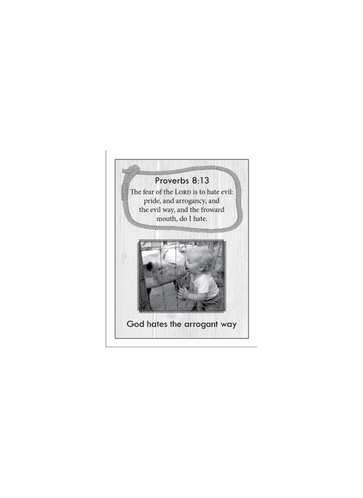Level 5- Growing in Wisdom Curriculum